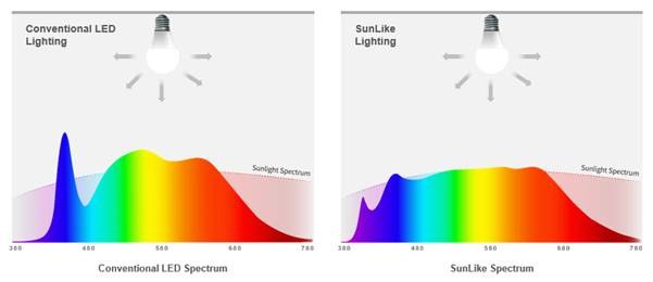 Enriched Light with Daylight-like Spectrum Improves Learning and Memory ...